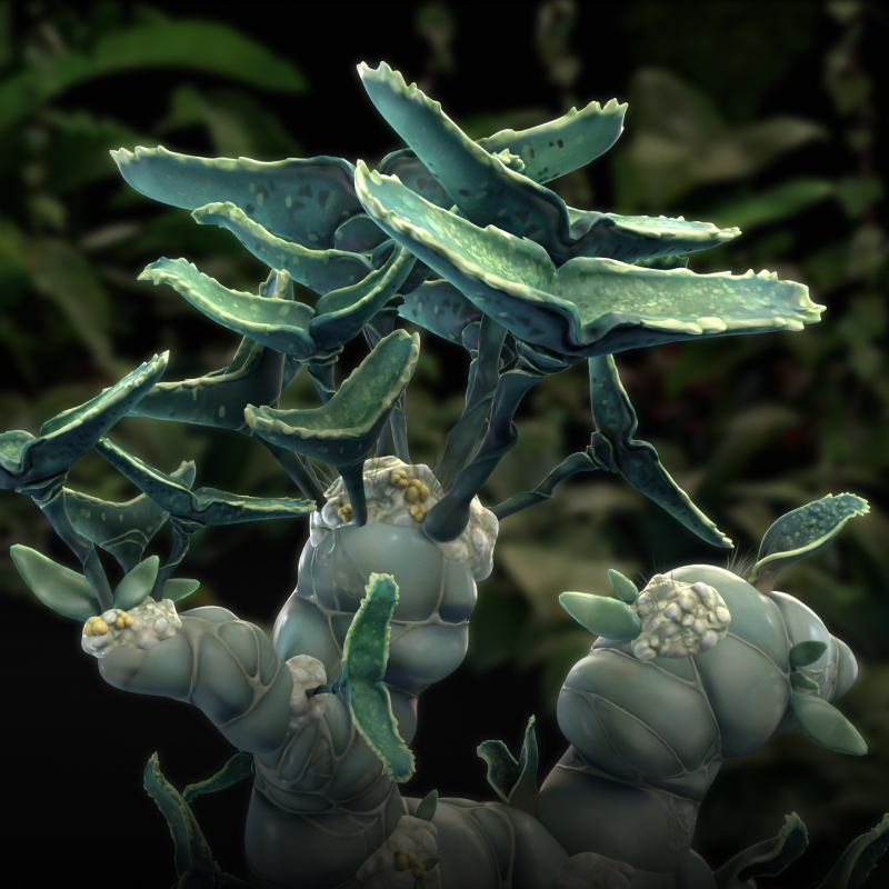 3D Vegetation & Organic - Room 8 Studio